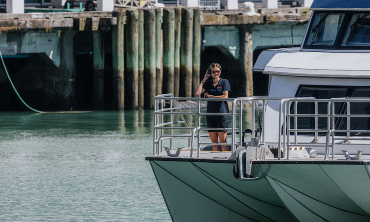 Extended Maintenance Period Confirmed – Island Direct NZ